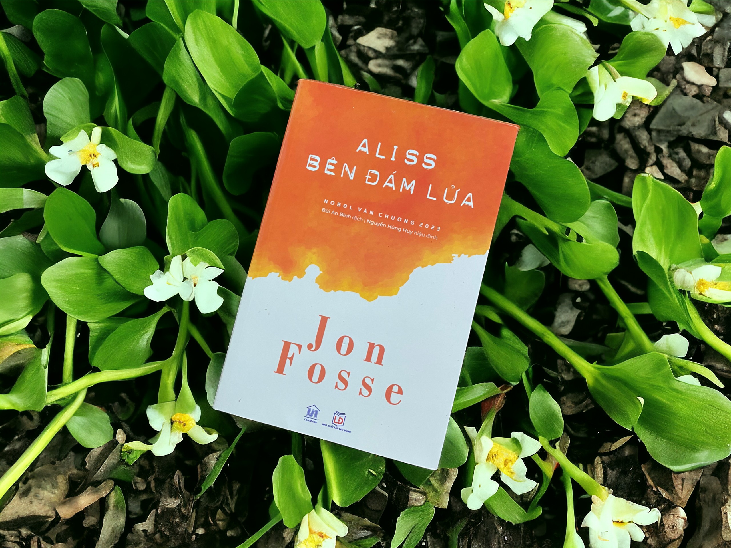 “Aliss bên đám lửa” – một kiệt tác văn chương hiện đại – Rainbow Books